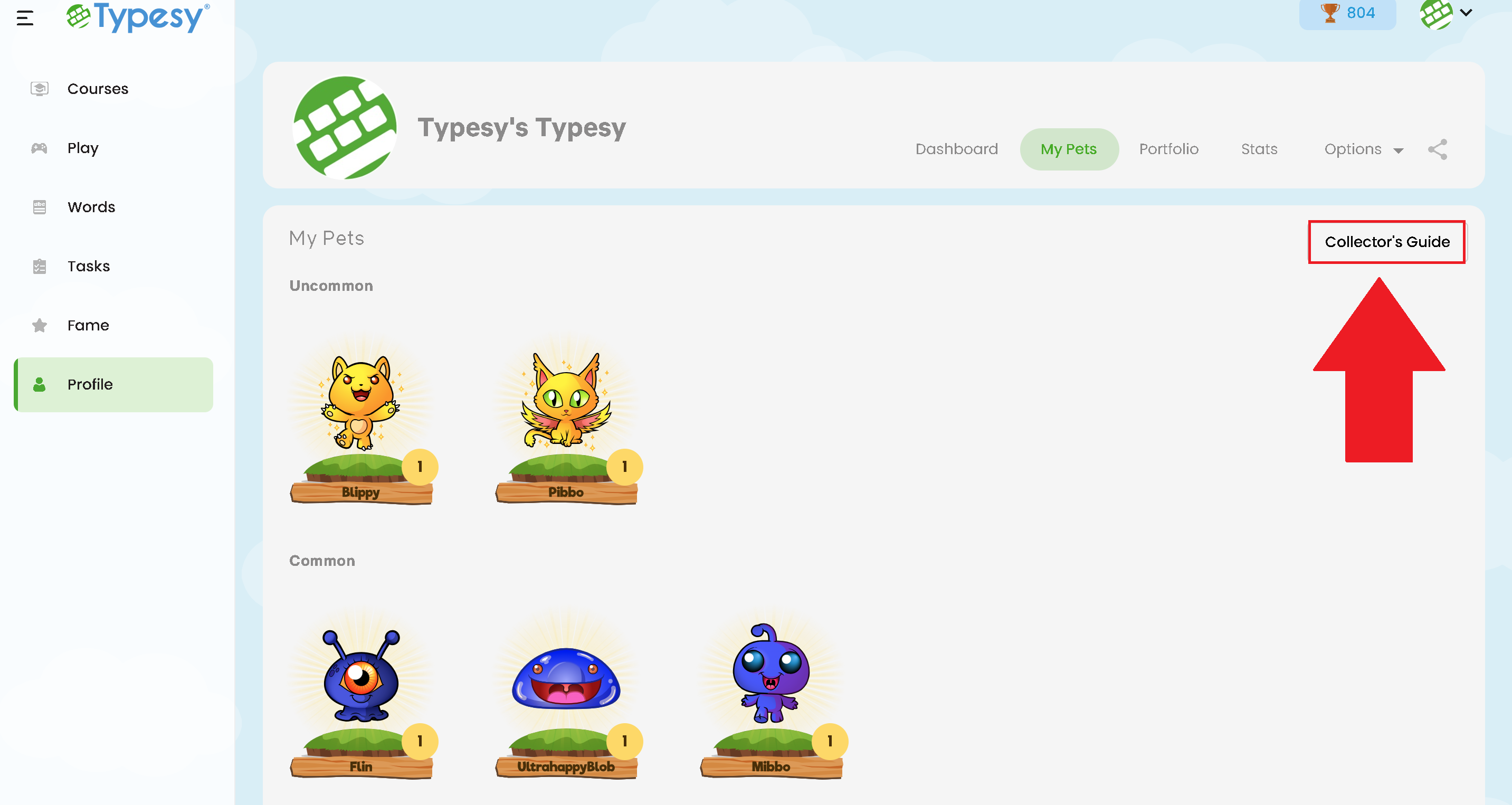 Typesy Pets